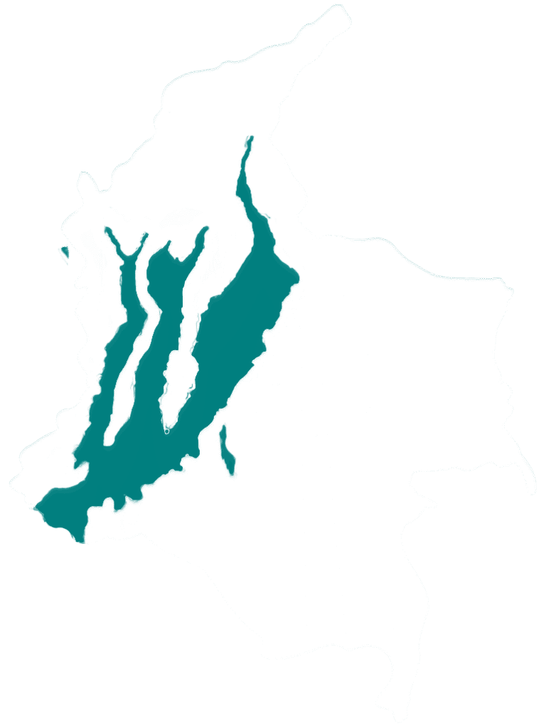 Oso Andino - ukumari.org