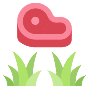 Oso Andino - ukumari.org